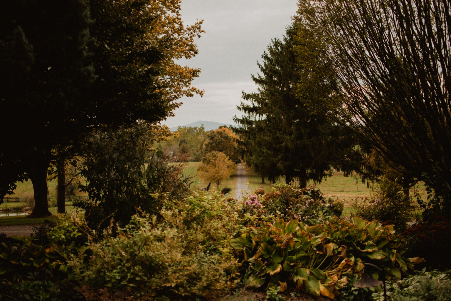 A Princess Bride Wedding at Long Branch Farm - truestoryphotography.com